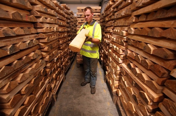 Inside a cricket bat manufacturing workshop | Amusing Planet